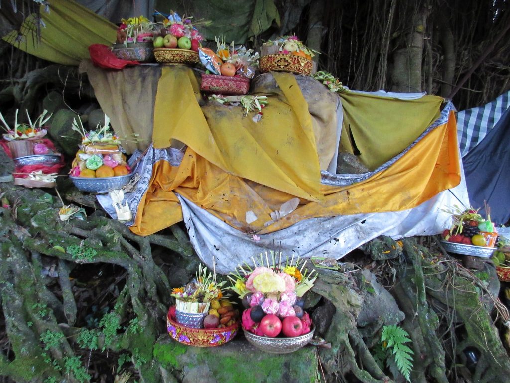 The Tree of Life - Waka Hotel and Resorts